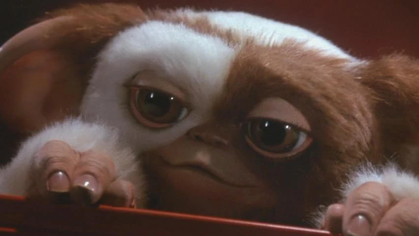 Gizmo | Absolute Horror Wiki | Fandom