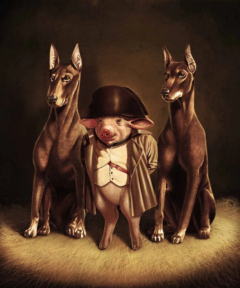 Category:2016 Births | Absolution Phase Two Wiki | Fandom