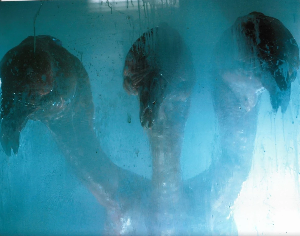 The Four-Five-Six War | Absolution Phase Two Wiki | Fandom