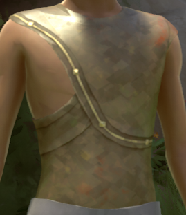 Forest Dweller Undertop | Absolver Wiki | Fandom