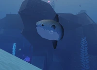 Fishes | Abyss Wiki | Fandom