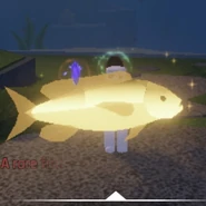 Salmon | Abyss Wiki | Fandom