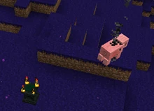 Ritual Information (Necronomicon) | AbyssalCraft Wiki | Fandom