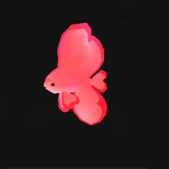 Pink Juvenile Pinnate Spadefish | Abyssrium Wikia | Fandom