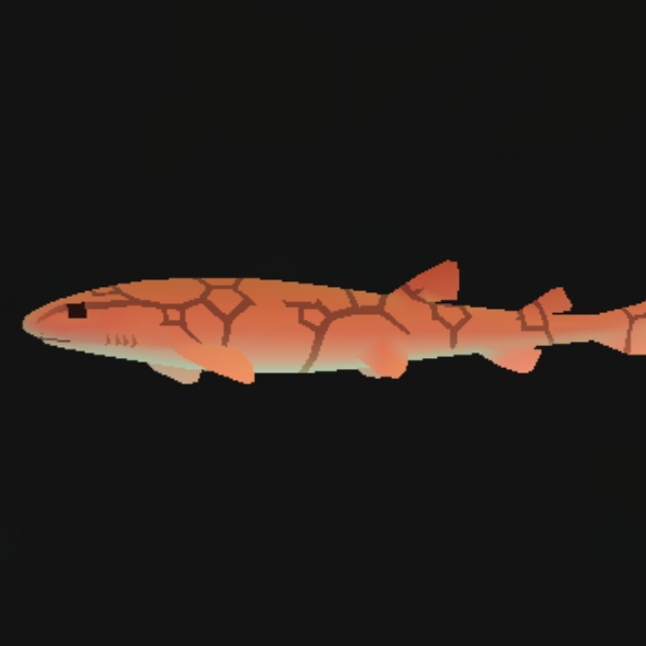 Chain Catshark Abyssrium Wikia Fandom