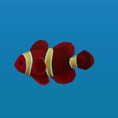Maroon Clownfish | Abyssrium Wikia | Fandom