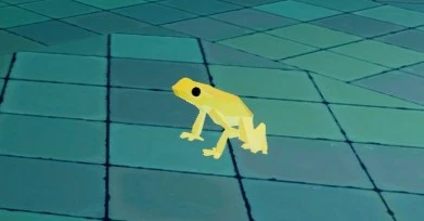 Golden Toad - Abzu Wiki