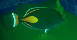 Achilles Surgeon Fish - Abzu Wiki