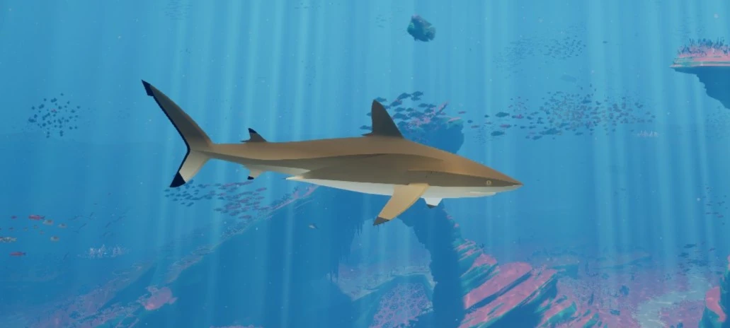 Grey Reefshark - Abzu Wiki