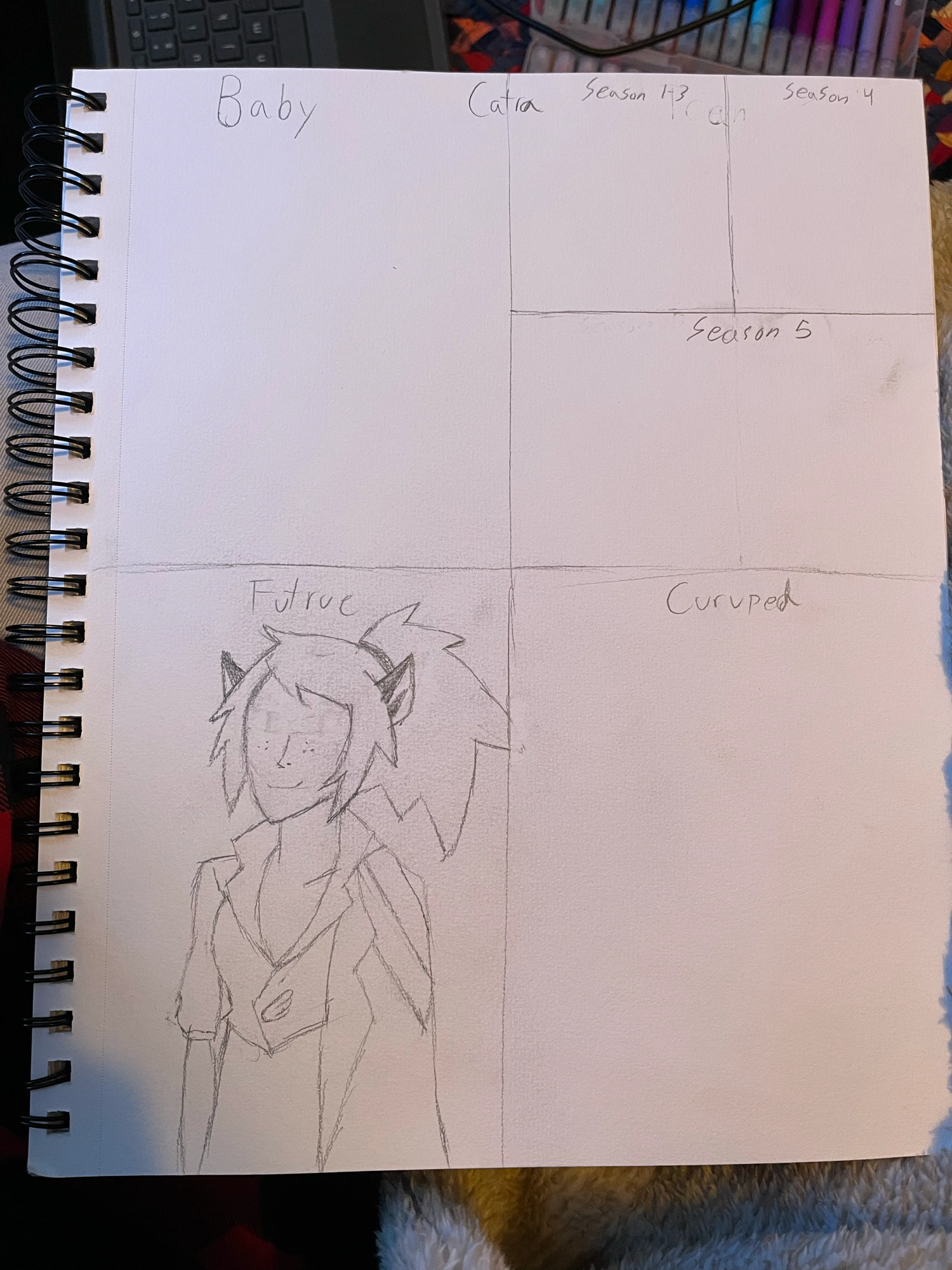 1st drawing of catras versions thought the show | Fandom