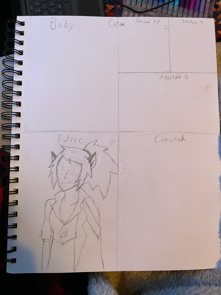 1st drawing of catras versions thought the show | Fandom