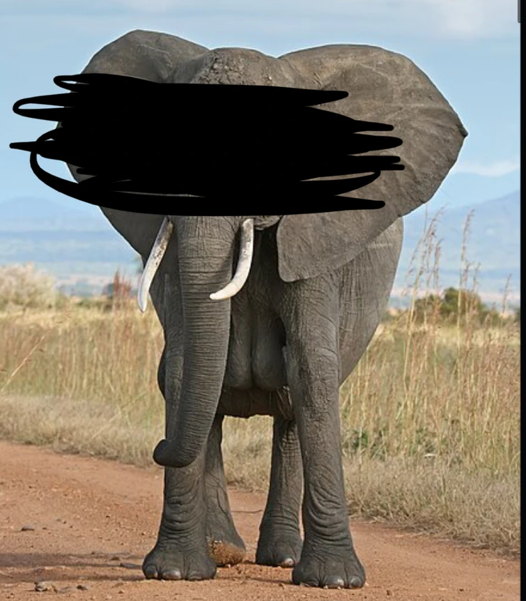 GUESS THE ANIMAL NO CHEATING | Fandom