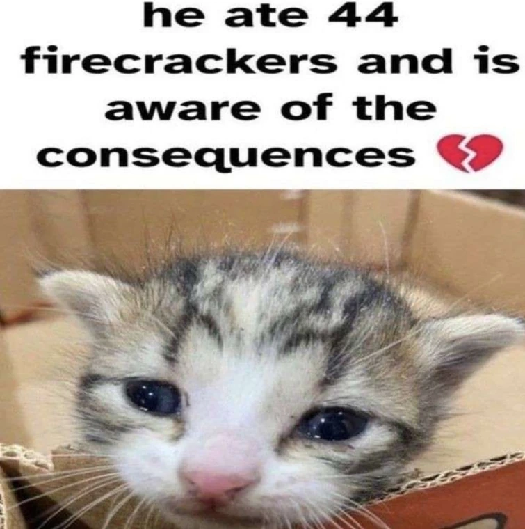 guys i might explode soon💔 | Fandom