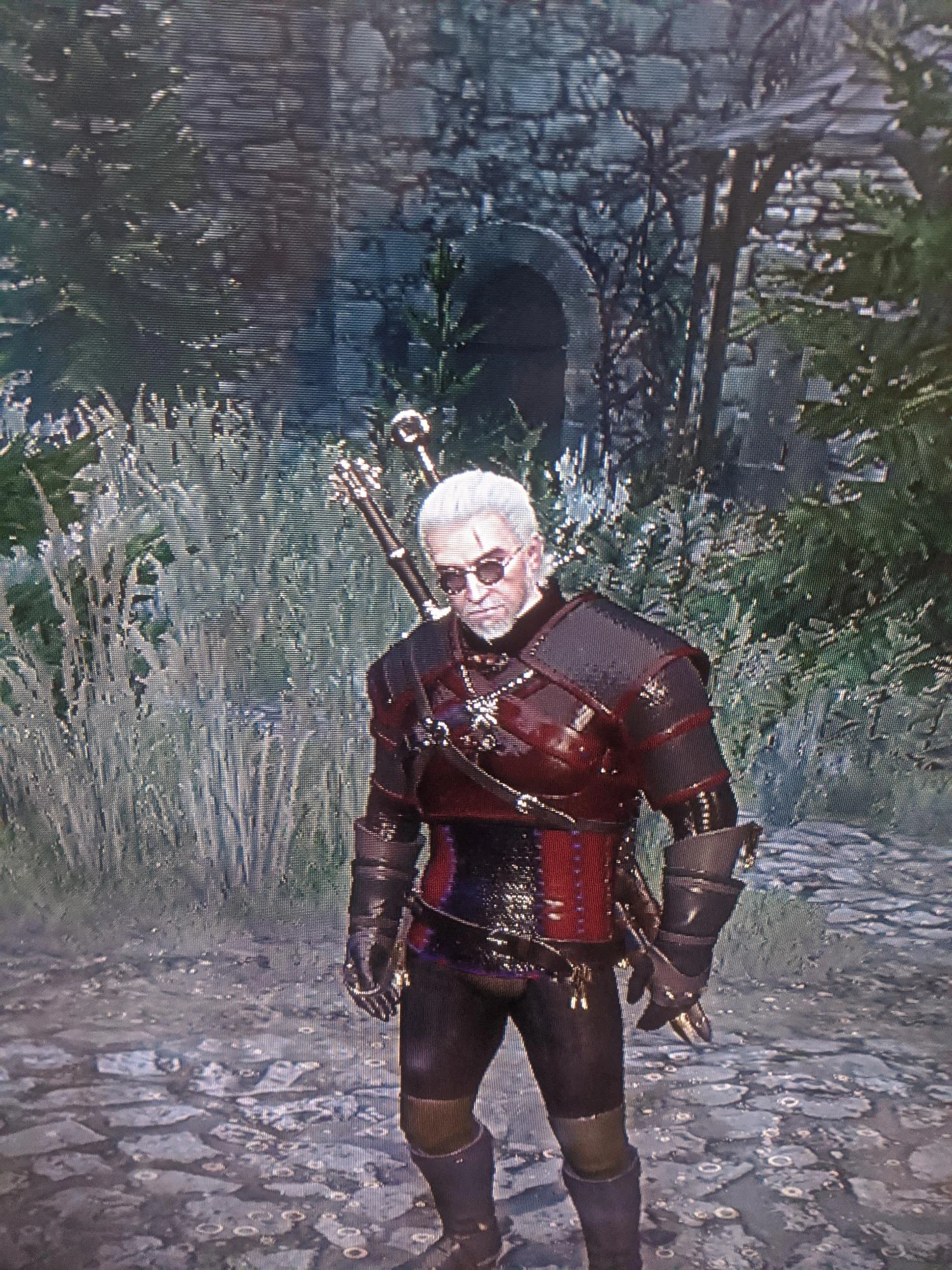 Witcher 3 Dream | Fandom