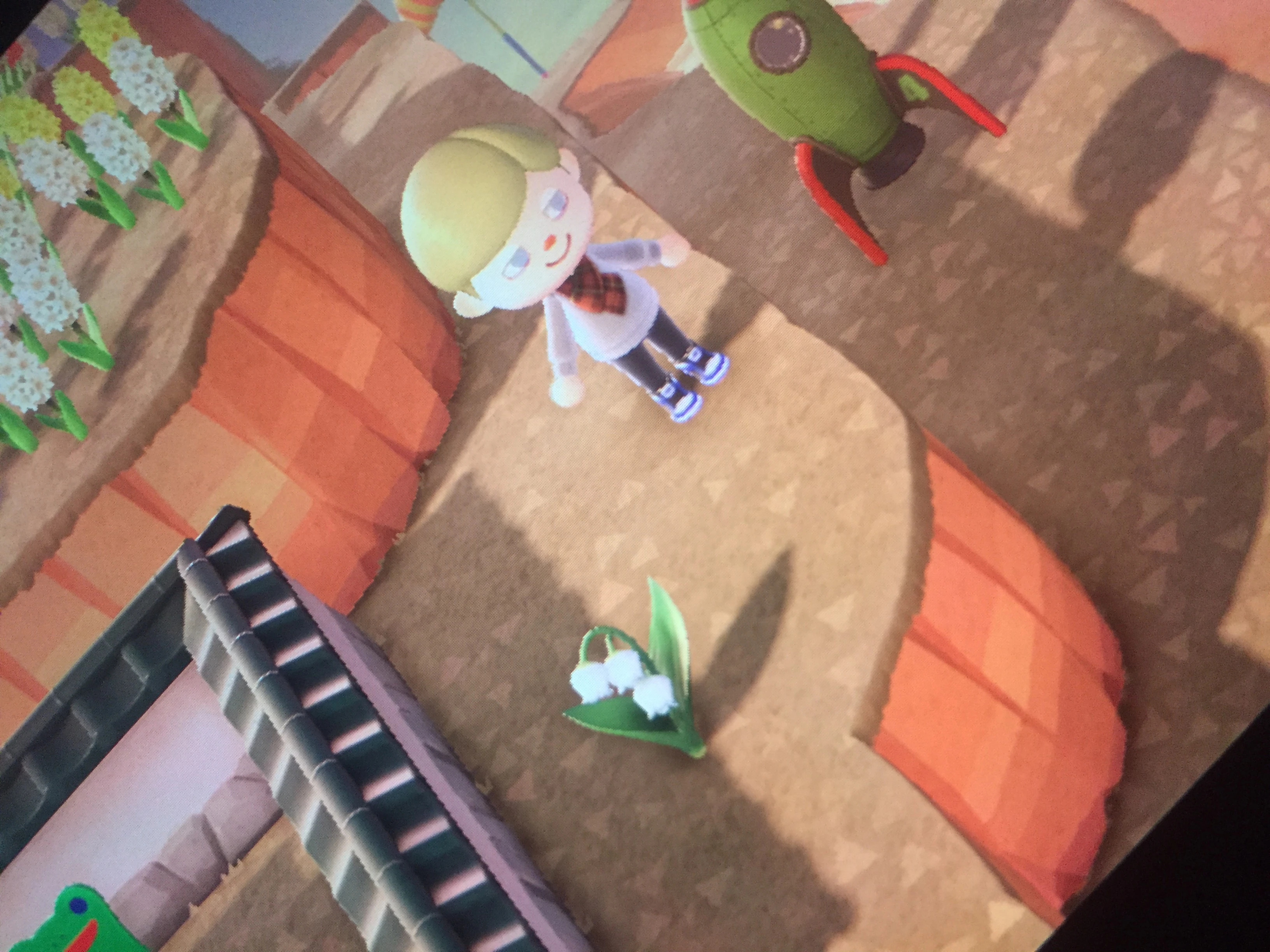 I keep getting these lilies. What should I do with them? Any build ...