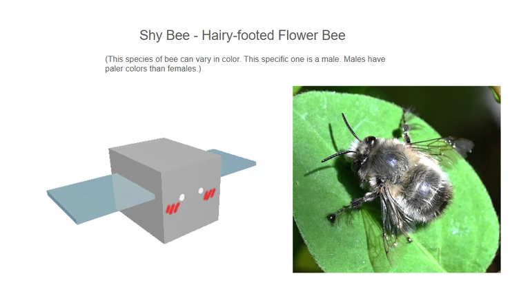 BSS Bees and their irl counterparts! Legendaries :) | Fandom