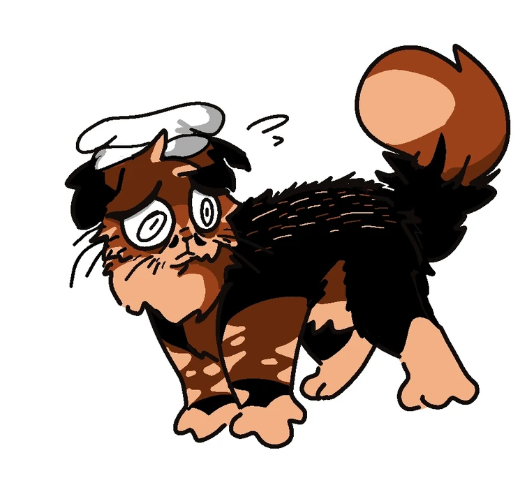 Funn peppino cat | Fandom