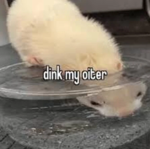 HELLOOOO THEREEE!! | Fandom