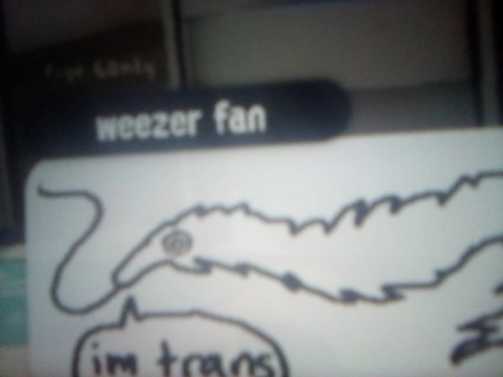 REAL WEEZER FAN ON SPLATOON (old image) | Fandom