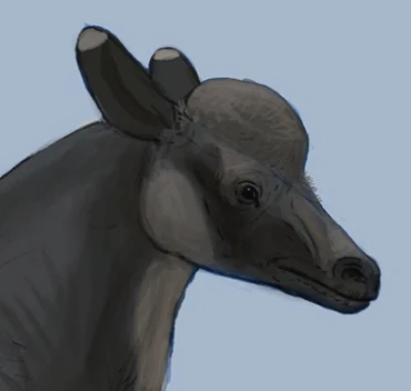 Dinopedia makes a Cenozoic Zoo game: Giraffid (1/2) (top 2 most voted ...