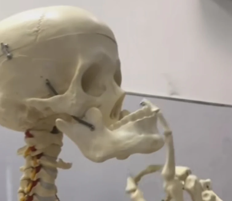 What is yuri | Fandom