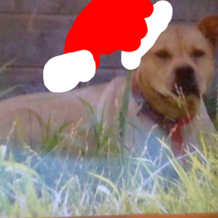 Rate my pfp out of 10 | Fandom