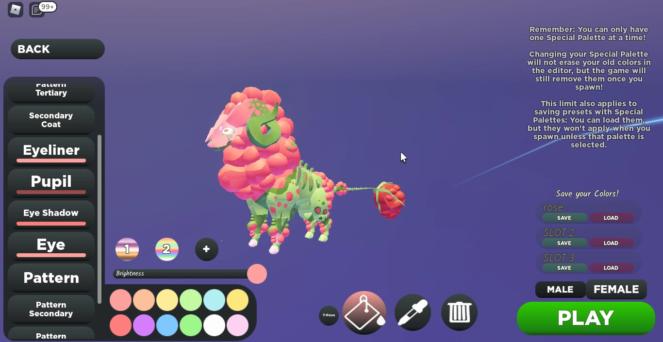 meet Rose the Cottol | Fandom