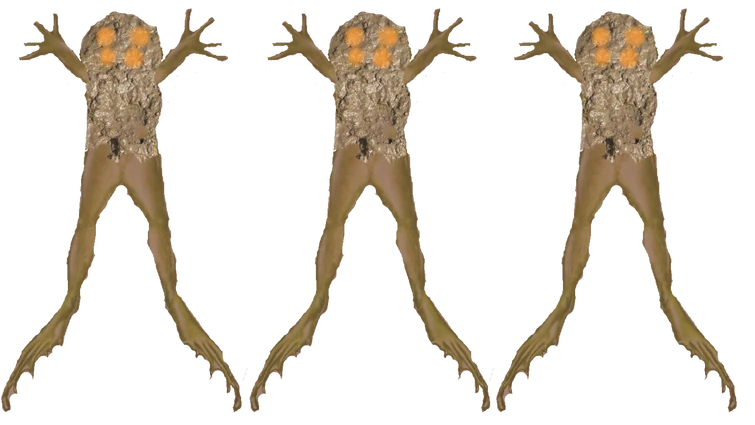 Discuss Everything About Amphibia Wiki | Fandom