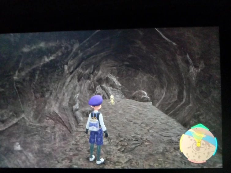 Pokémon fandom playthrough void part 17 he's so cool | Fandom