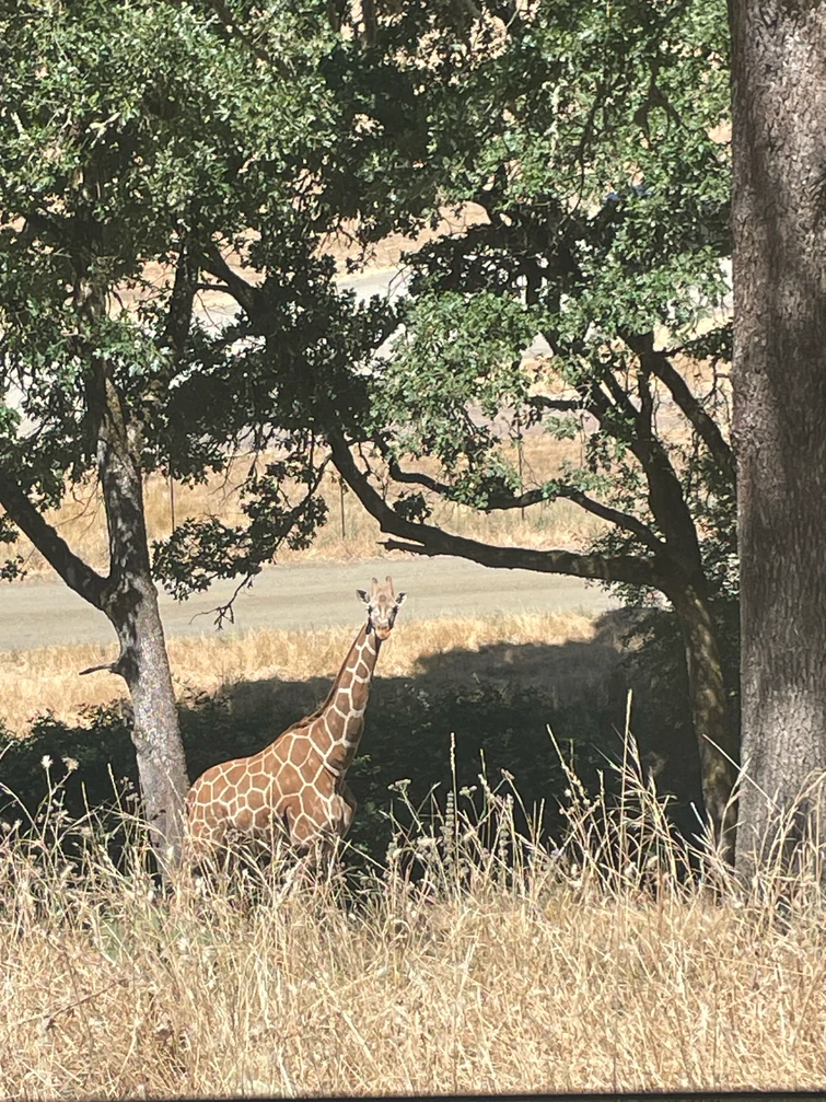 Off Topic Post | Fandom