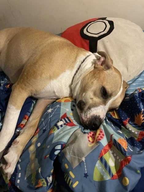 door posting | Fandom