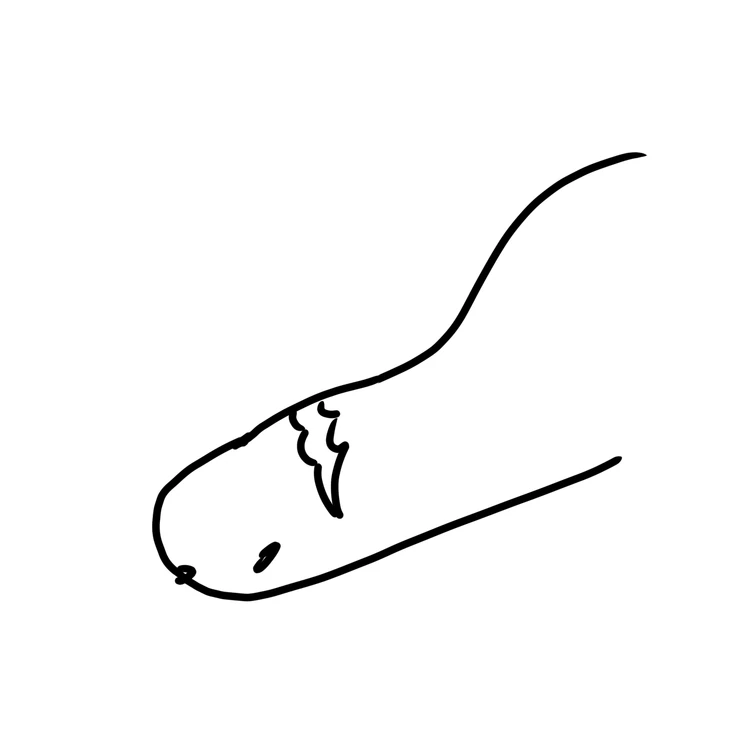 hey, how do scars on dragons work? (asking for tips) (tw: scars ...