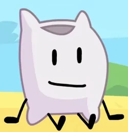 pillow my second favorite insane object | Fandom