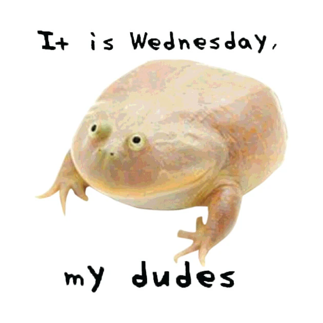 It is Wednsday my dudes. | Fandom