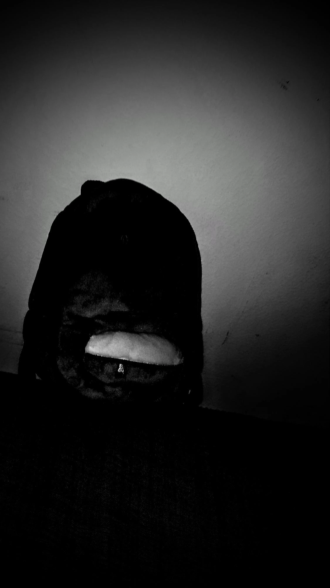 the lunatic is in the hall | Fandom