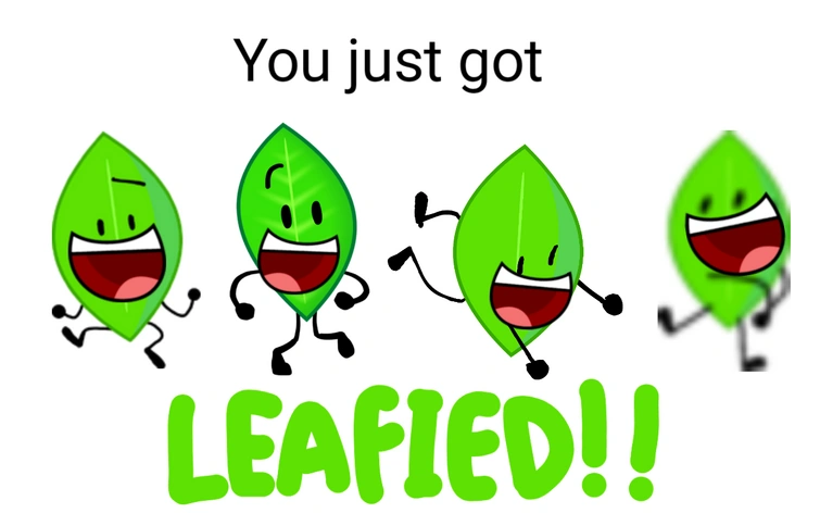 I actually went to the BFDIA 14 meetup | Fandom