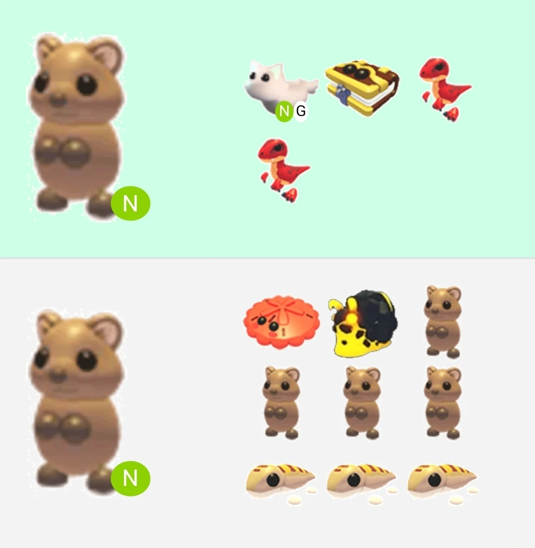 LF neon quokkas | Fandom