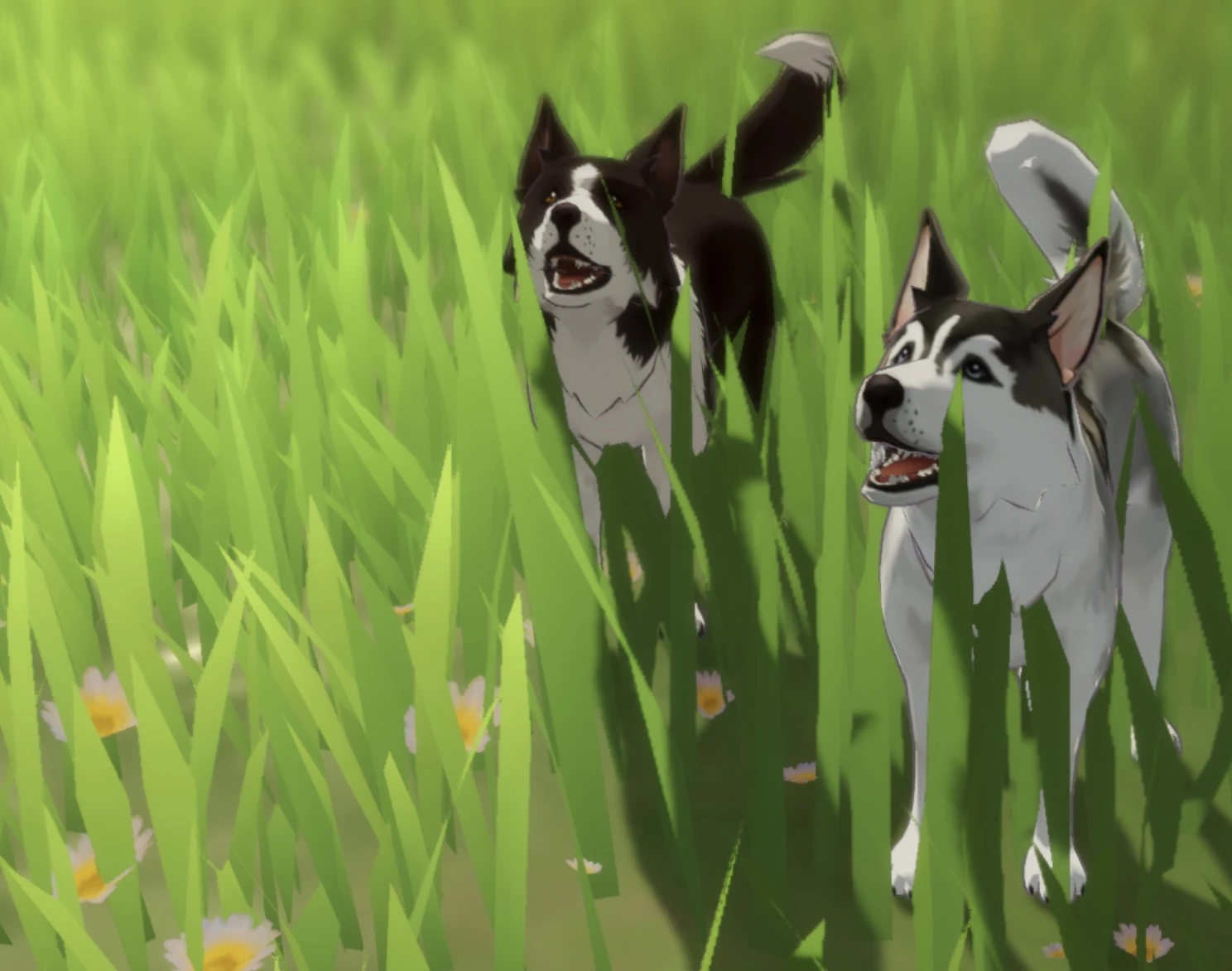 d o g g o s | Fandom