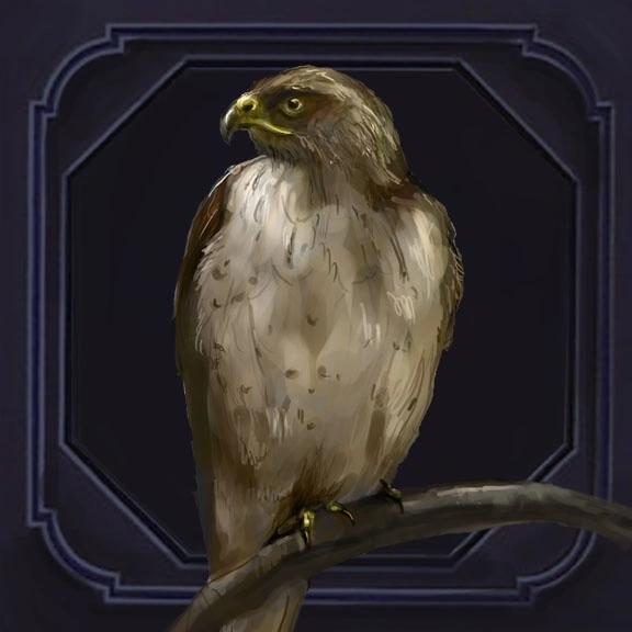 Familiar - Hawk | Academagia Wiki | Fandom
