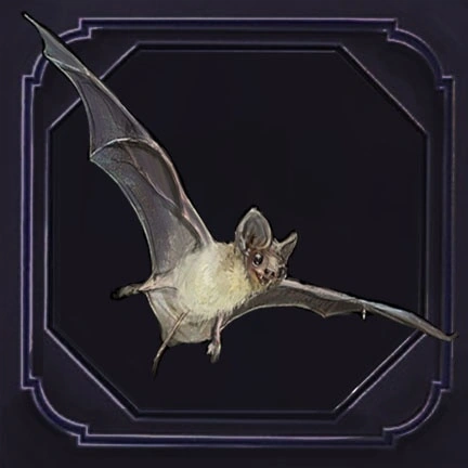 Familiar - Bat | Academagia Wiki | Fandom
