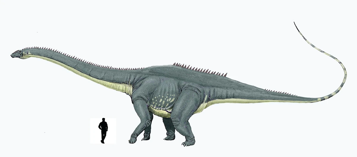 Diplodocus | Wiki ACAM | Fandom