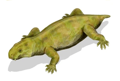 Dicynodon | Wiki ACAM | Fandom