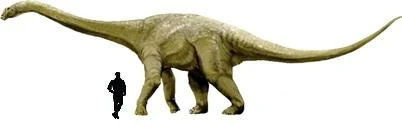 Austrosaurus | Wiki ACAM | Fandom