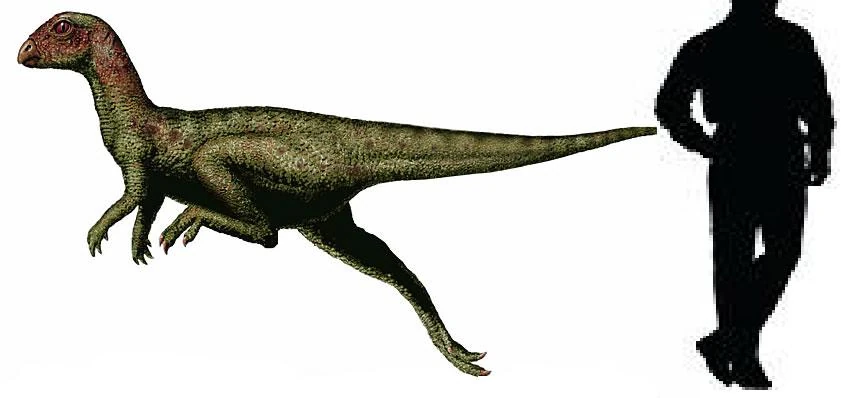 Zephyrosaurus | Wiki ACAM | Fandom