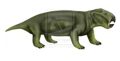Diictodon | Wiki ACAM | Fandom
