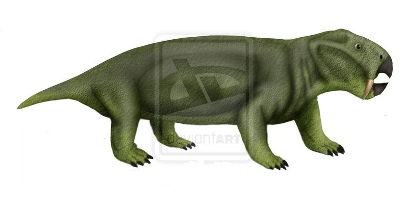 Diictodon | Wiki ACAM | Fandom