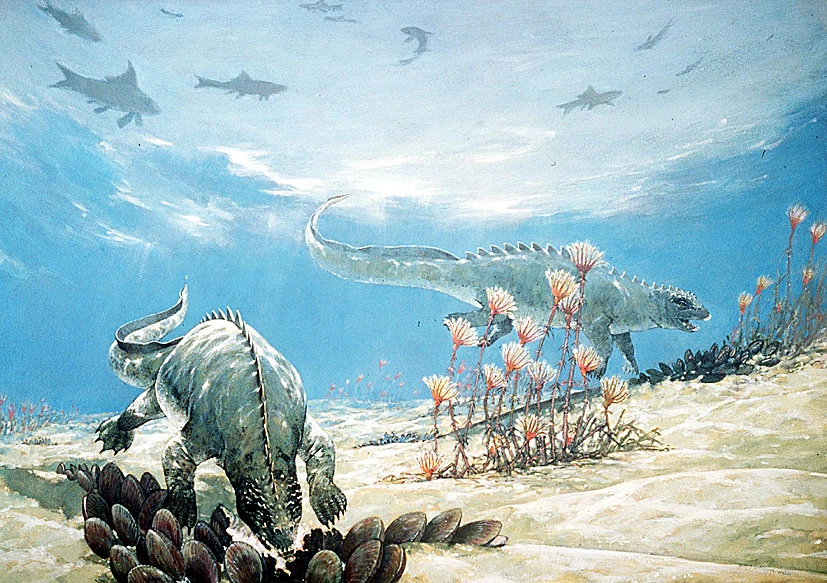 Placodontos | Wiki ACAM | Fandom