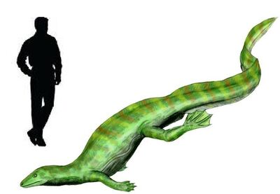 Hovasaurus | Wiki ACAM | Fandom