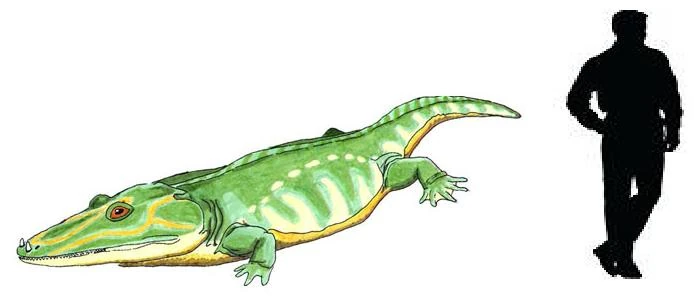 Mastodonsaurus | Wiki ACAM | Fandom