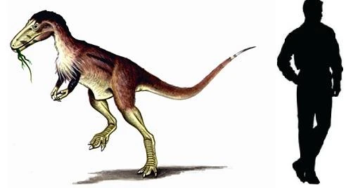 Aublysodon | Wiki ACAM | Fandom